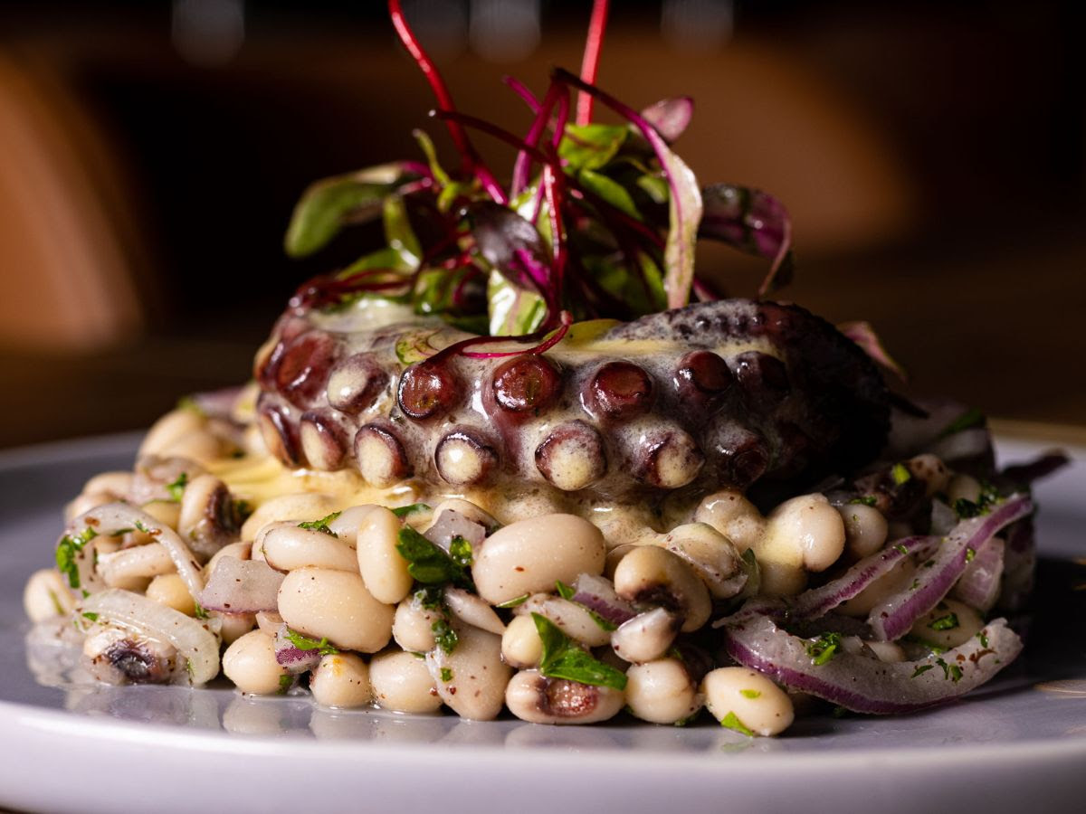 12 New Chicago Restaurants to Try This Summer - Eye On Channel