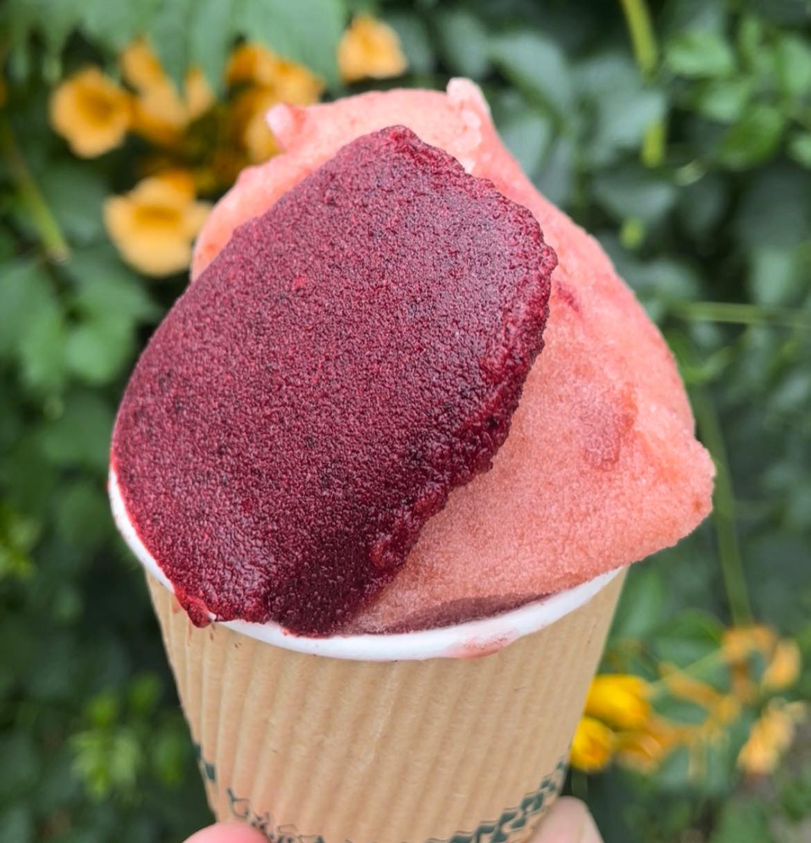 Where to Find the Best Italian Ice in Chicago - Eye On Channel